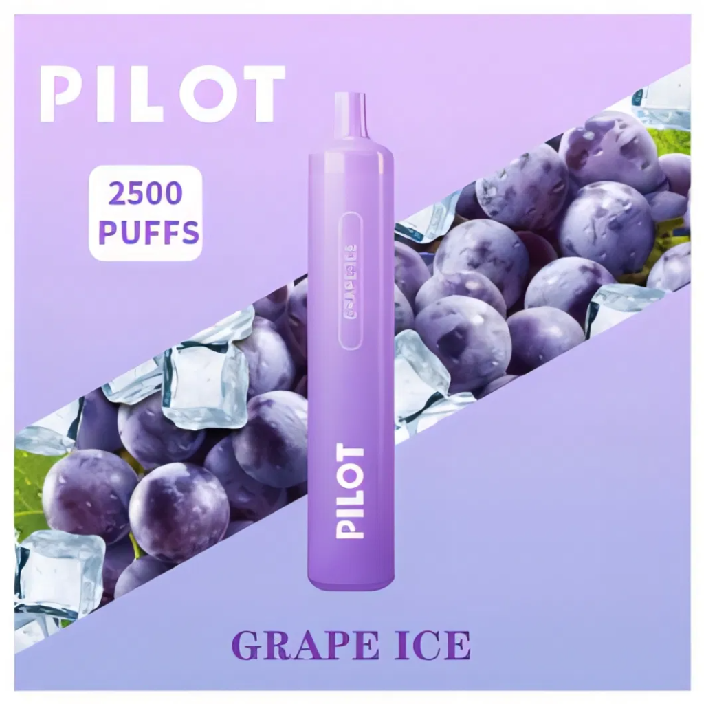 Pilot max 2500 puff Disposable Vape