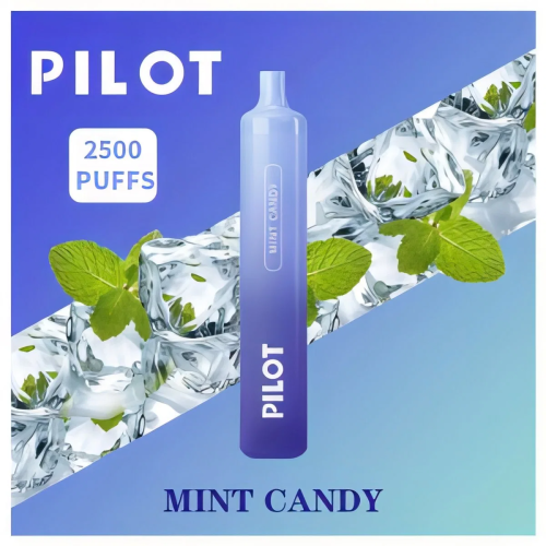 Pilot max 2500 puff Disposable Vape